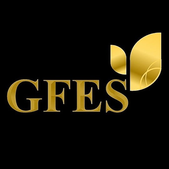 @GFES2022 | Linktree