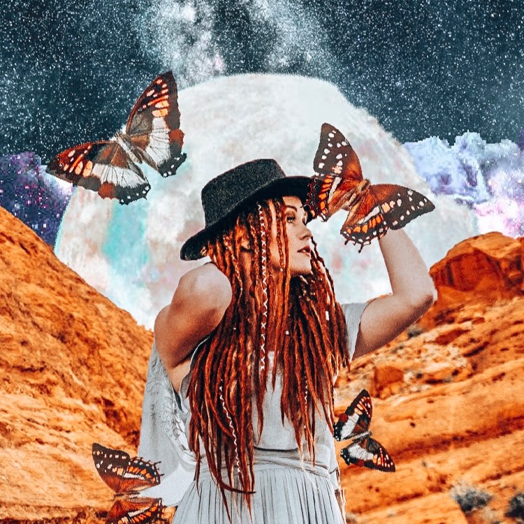 Hollow knight shopkeepers key