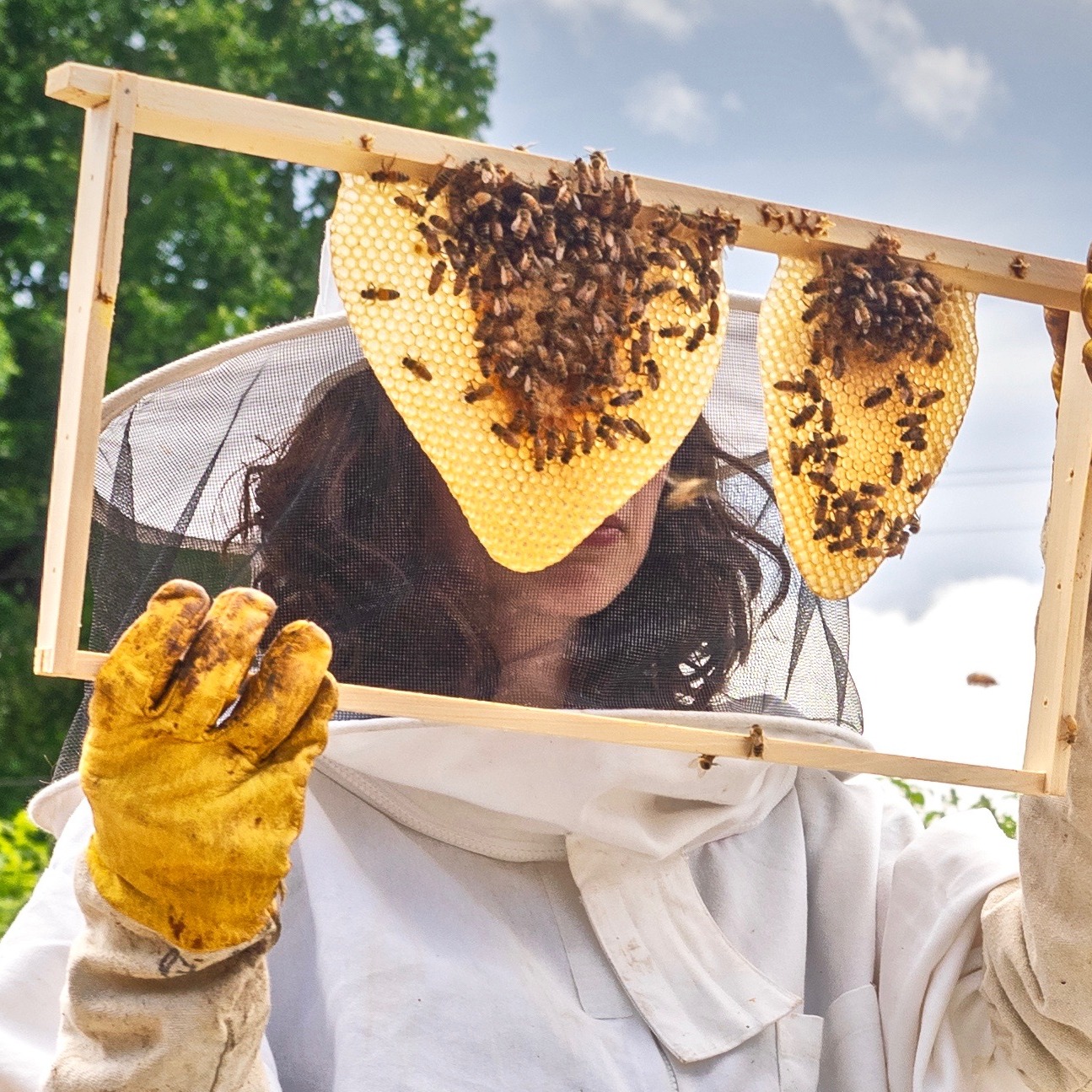 @beeandbloom | Linktree