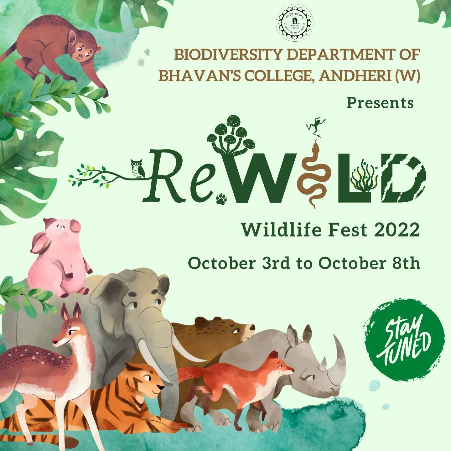 Re Wild Fest | Linktree