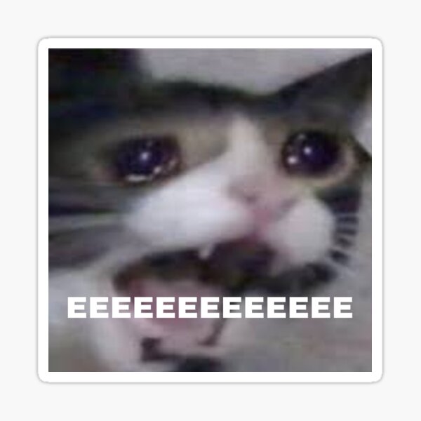 Lui | Instagram, Facebook, TikTok | Linktree