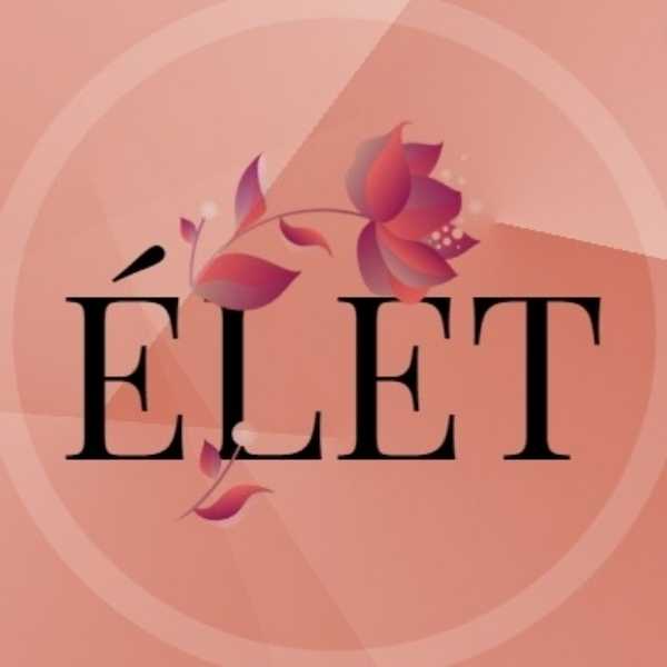 Böséges Élet - Online store | Instagram | Linktree