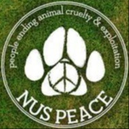 @nus.peace | Linktree