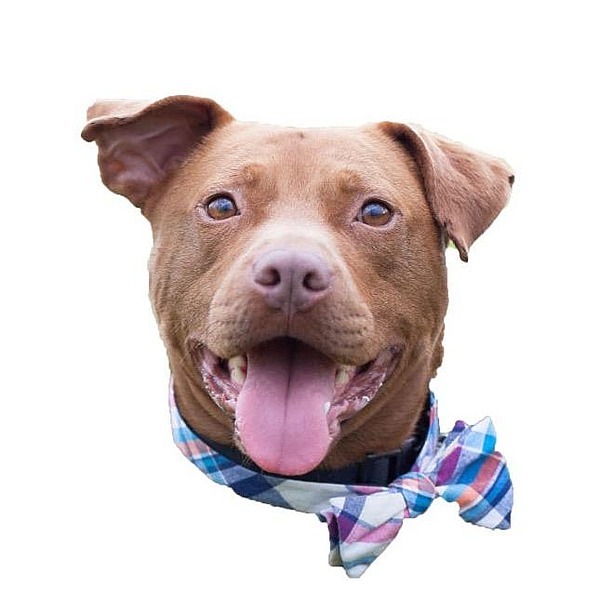 tatum.talks | Twitter, Instagram, Facebook, TikTok | Linktree