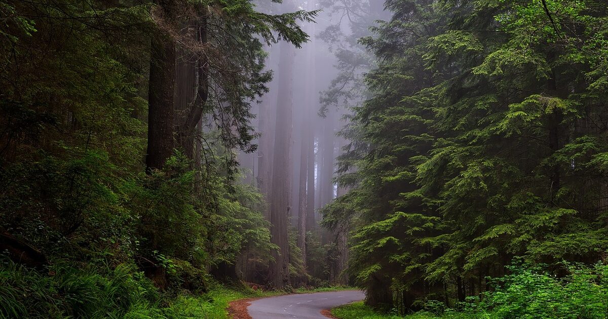 Dr. Eric Berg Scientologist | Facebook | Linktree