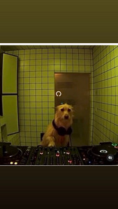 Michael Simonetti | Instagram | Linktree