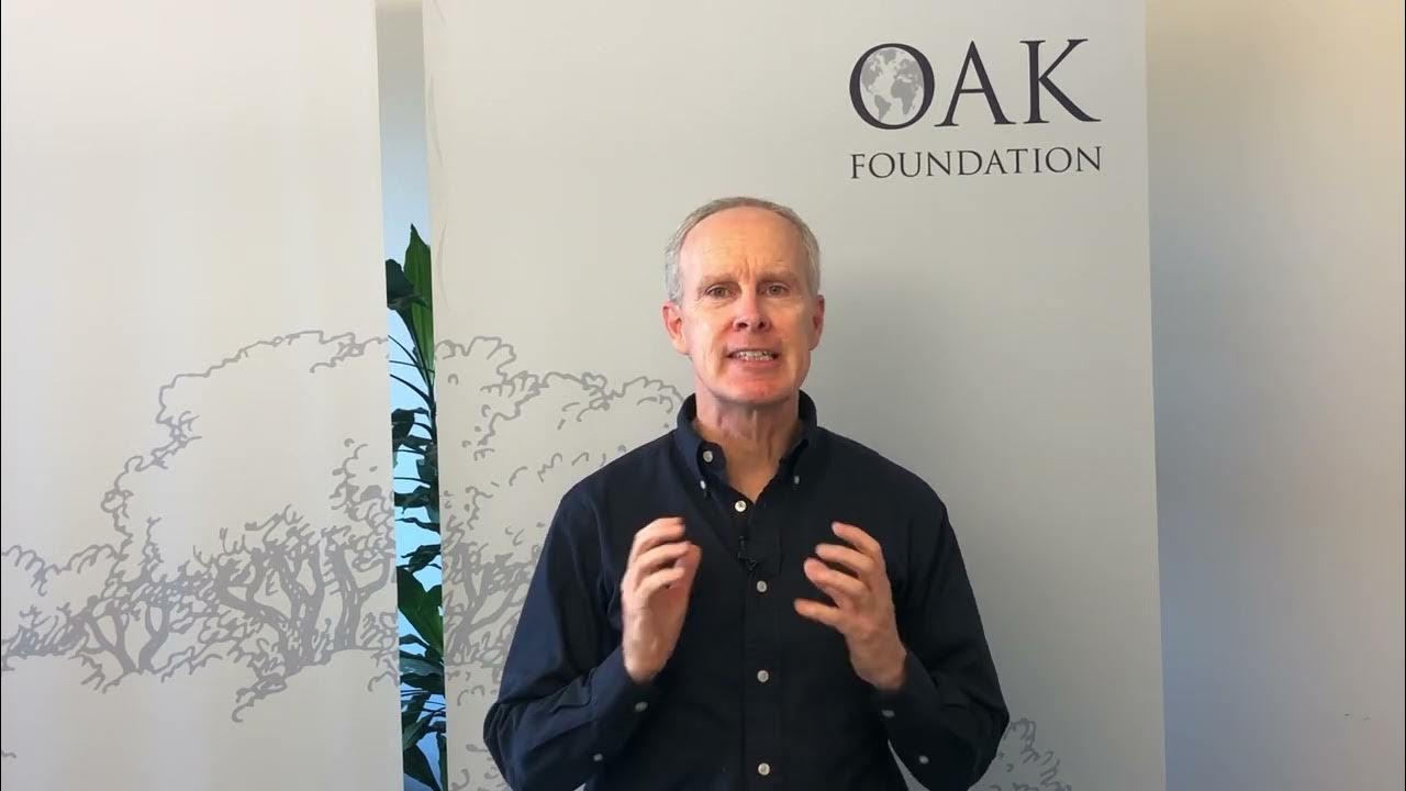 Brave Movement | Linktree