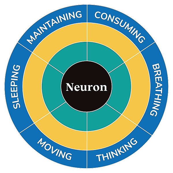 neuronwellness | Instagram, Facebook | Linktree