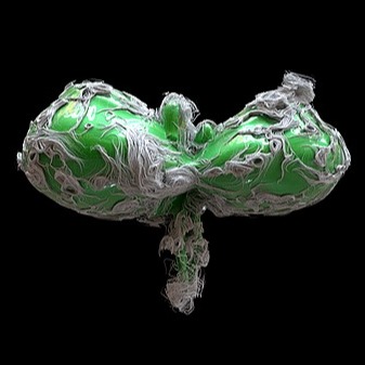 Anthony Gerber - Art | Twitter | Linktree