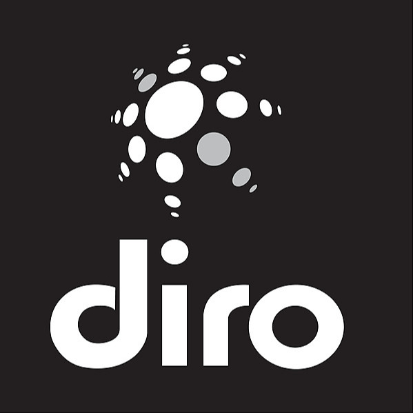 DIRO SYSTEMS LIMITED | Linktree