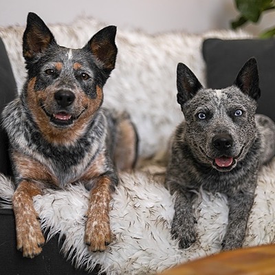 @kekoatheheeler | Linktree