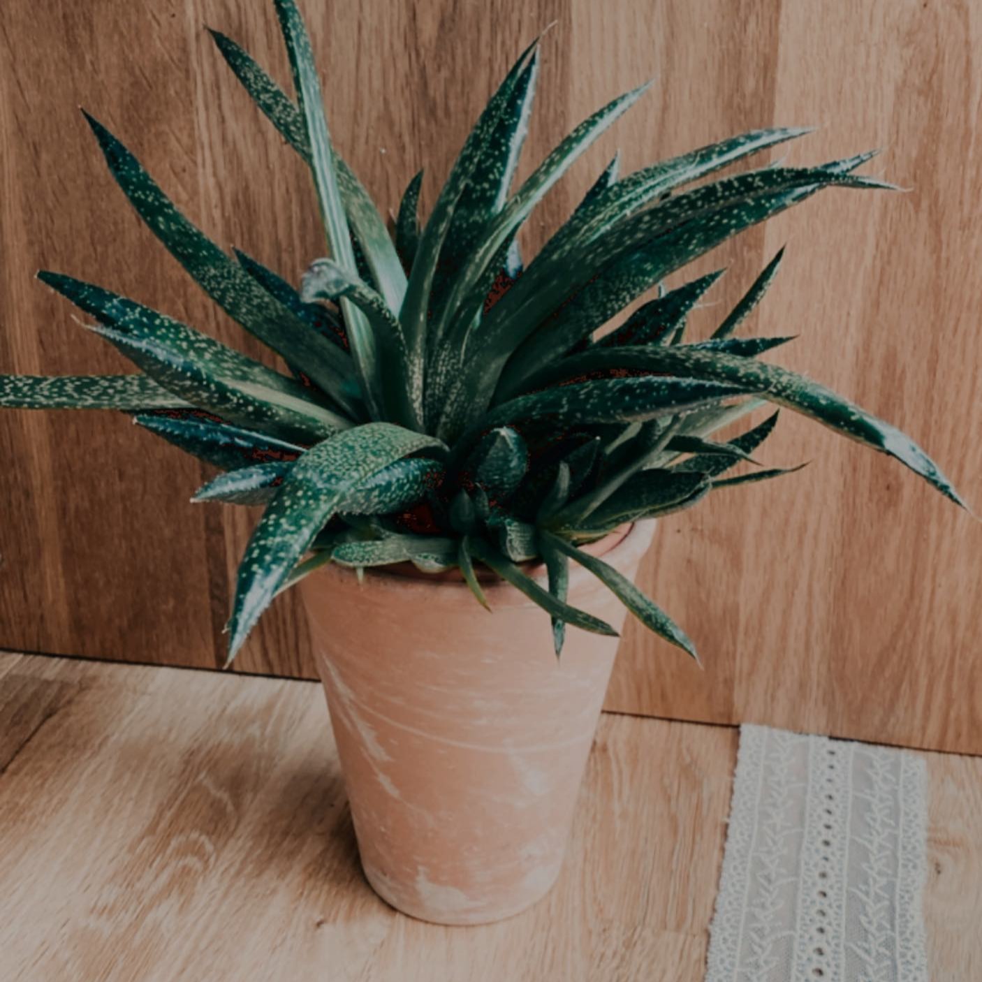 lifechanger_connected | Linktree