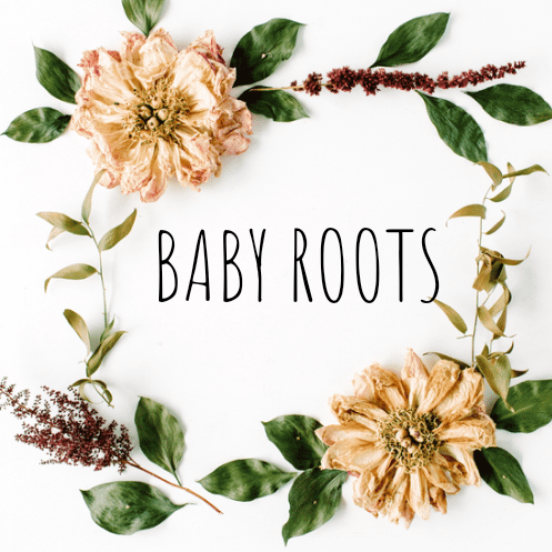 Baby Roots | Linktree