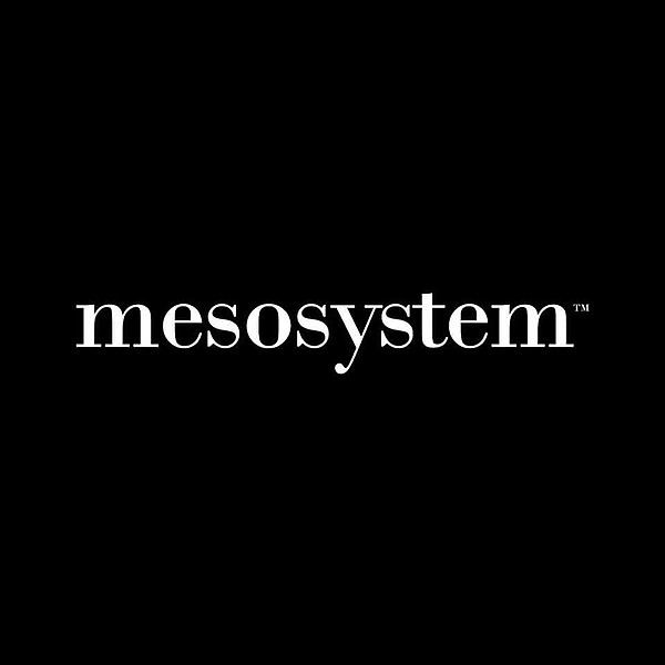 Marketing Manager | Mesosystem | Instagram, Facebook | Linktree