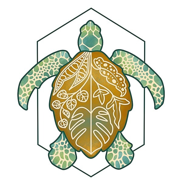 Turtle Therapy | Facebook | Linktree