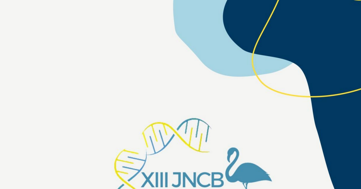 @xiii_jncb | Linktree