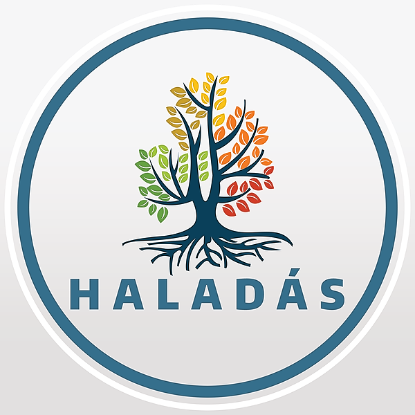 Haladás - Taller Creativo | Instagram | Linktree