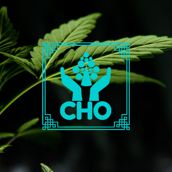 chostanton | Facebook | Linktree