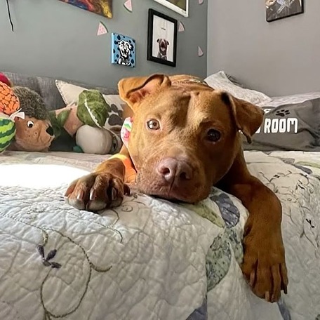 tatum.talks | Twitter, Instagram, Facebook, TikTok | Linktree