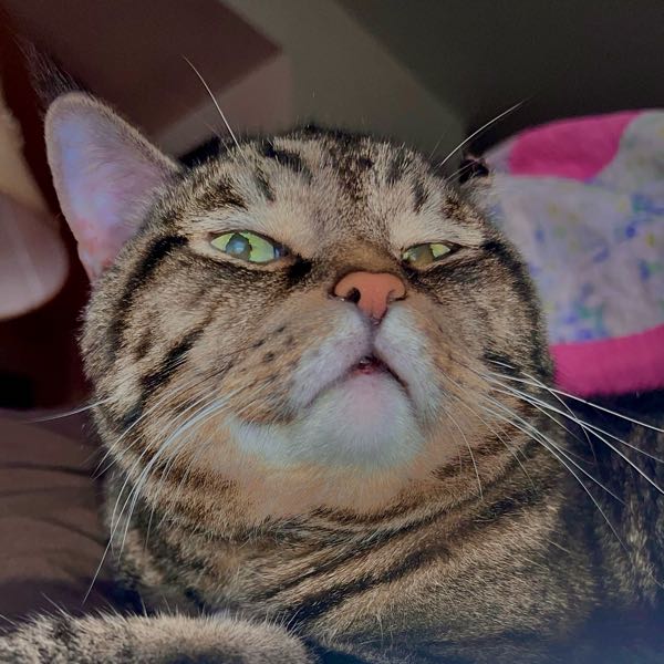 pride533 | Facebook | Linktree