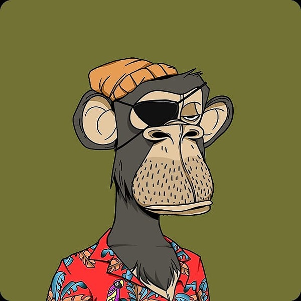 rekt.professor | Twitter, Instagram, Facebook | Linktree