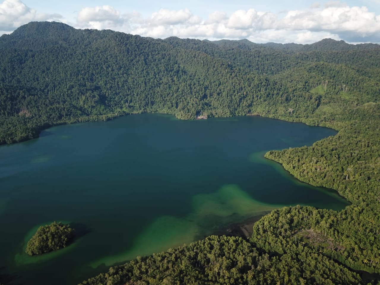 Save Sagea | Linktree