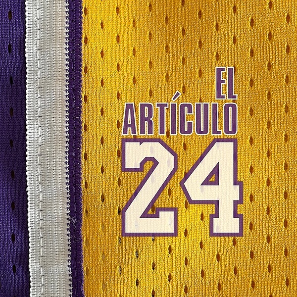 El Artículo 24 | Twitter | Linktree