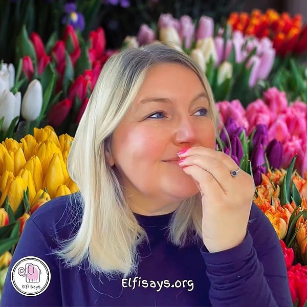 Elfi Says | Instagram, Facebook | Linktree