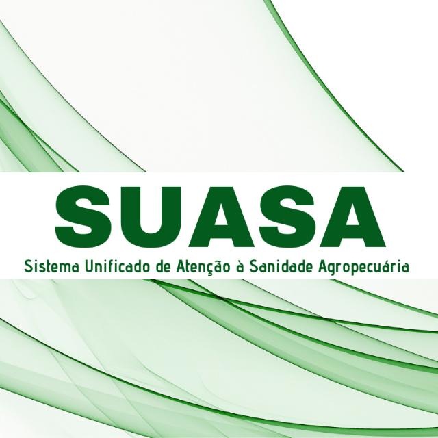 @Mapa_Suasa | Linktree