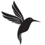 Adam and Bernardo | Instagram | Linktree