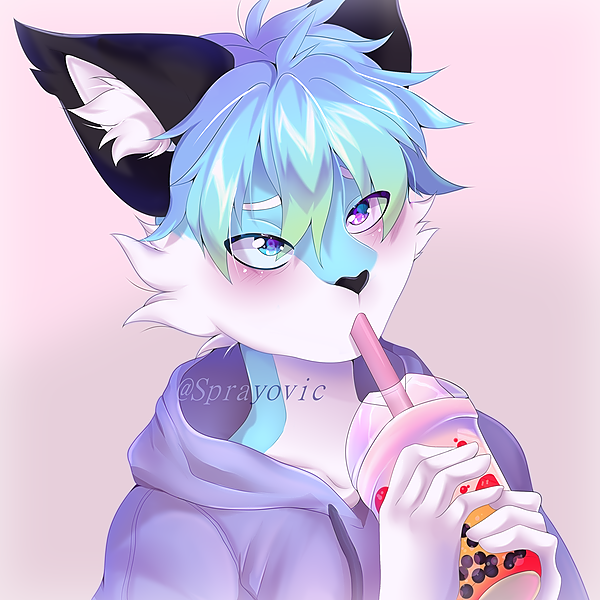 Sprayovic | Linktree