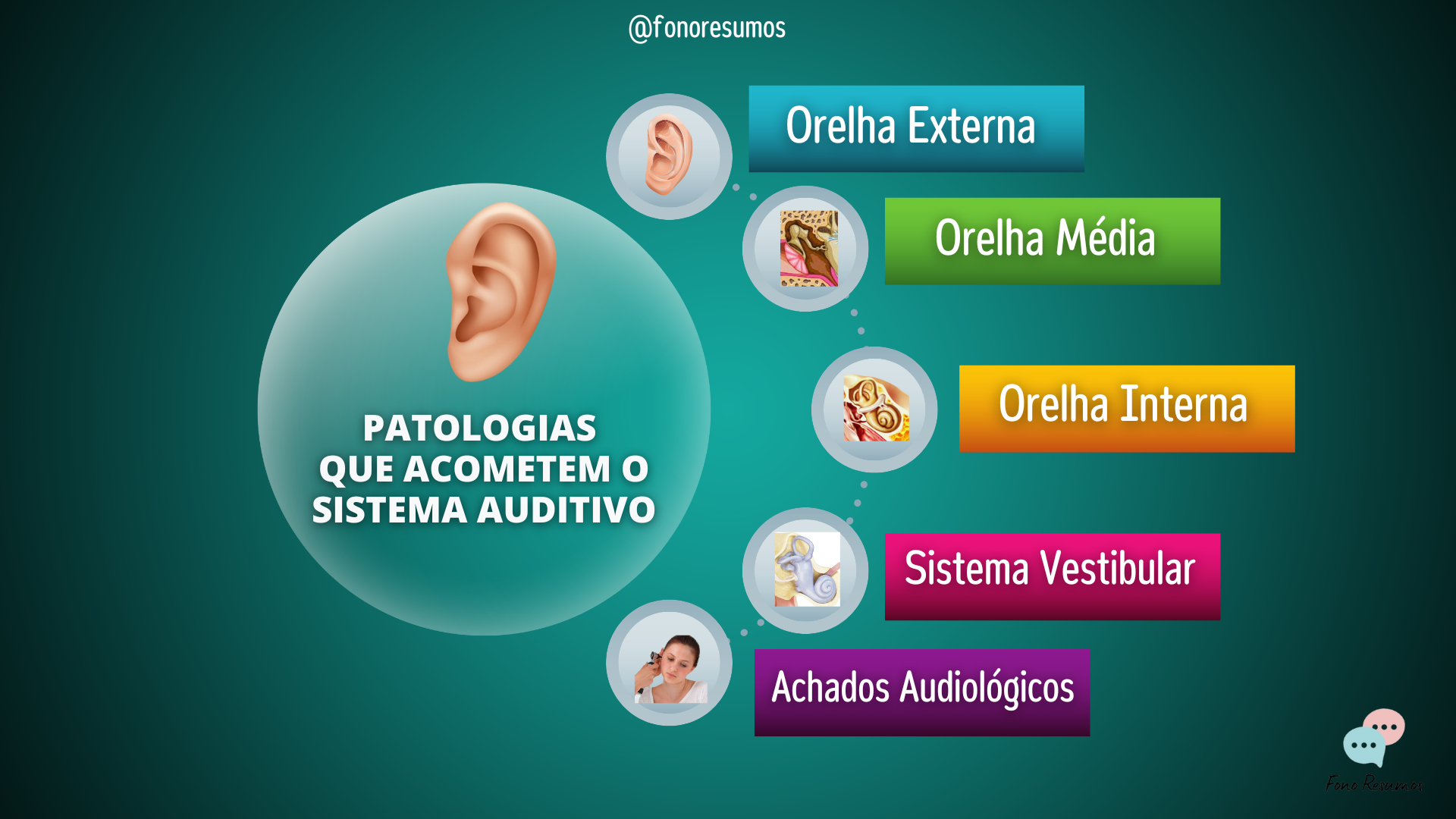 @fono_resumos | Linktree