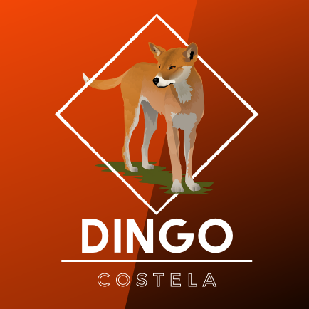 DINGO | Costela | Instagram, Facebook | Linktree