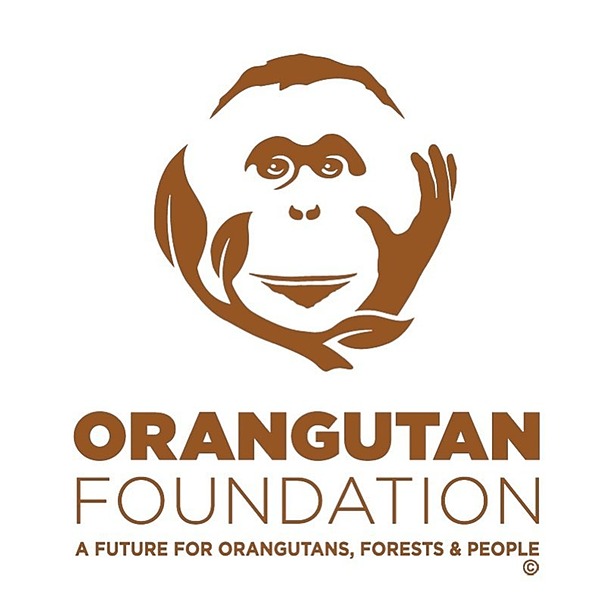 Ooook! Productions | Instagram, Facebook | Linktree