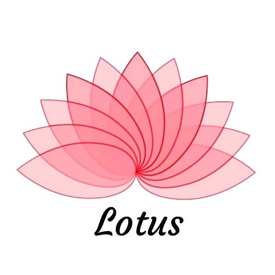 Lotus Libretas | Linktree
