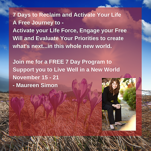 Awakening With Maureen Simon | Linktree