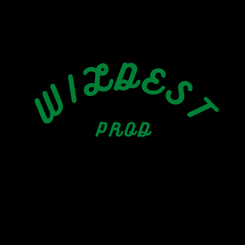Productos Wildest - Listen on Spotify - Linktree