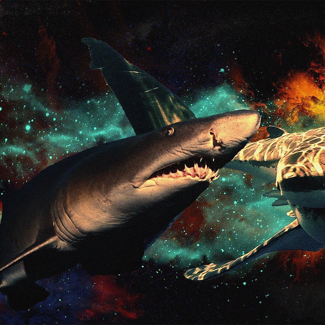 Kate Doolittle | Twitter, Instagram, TikTok | Linktree