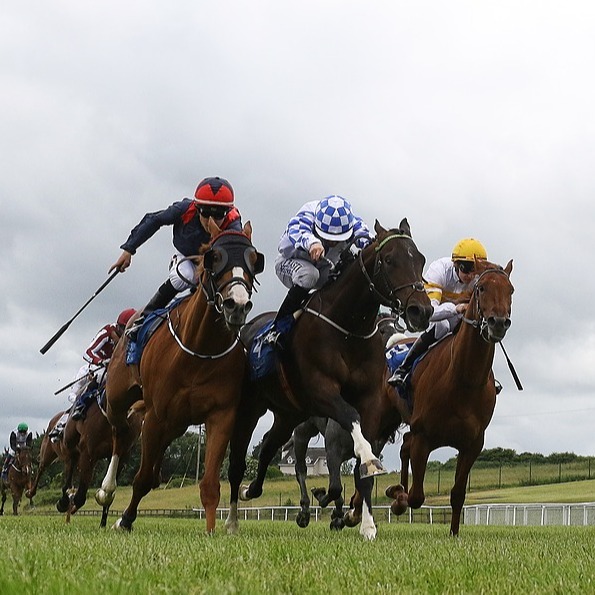 @limerickraces | Linktree