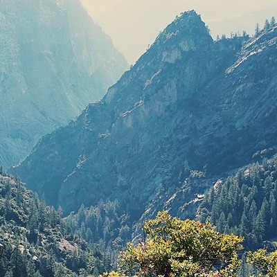 Robin Ferebee, MBA | Instagram, Facebook, TikTok | Linktree