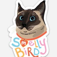 MERV THE CAT | Linktree