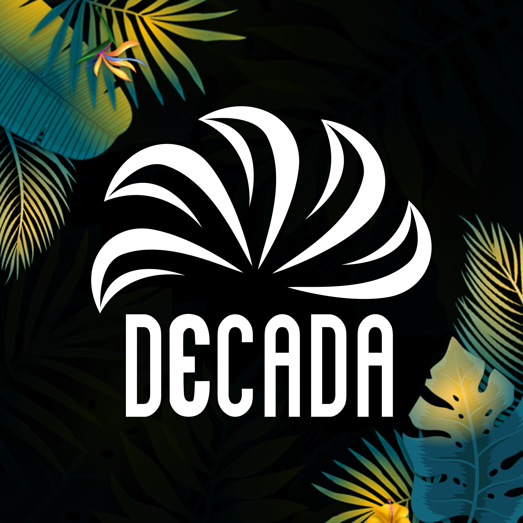 Decada | Linktree