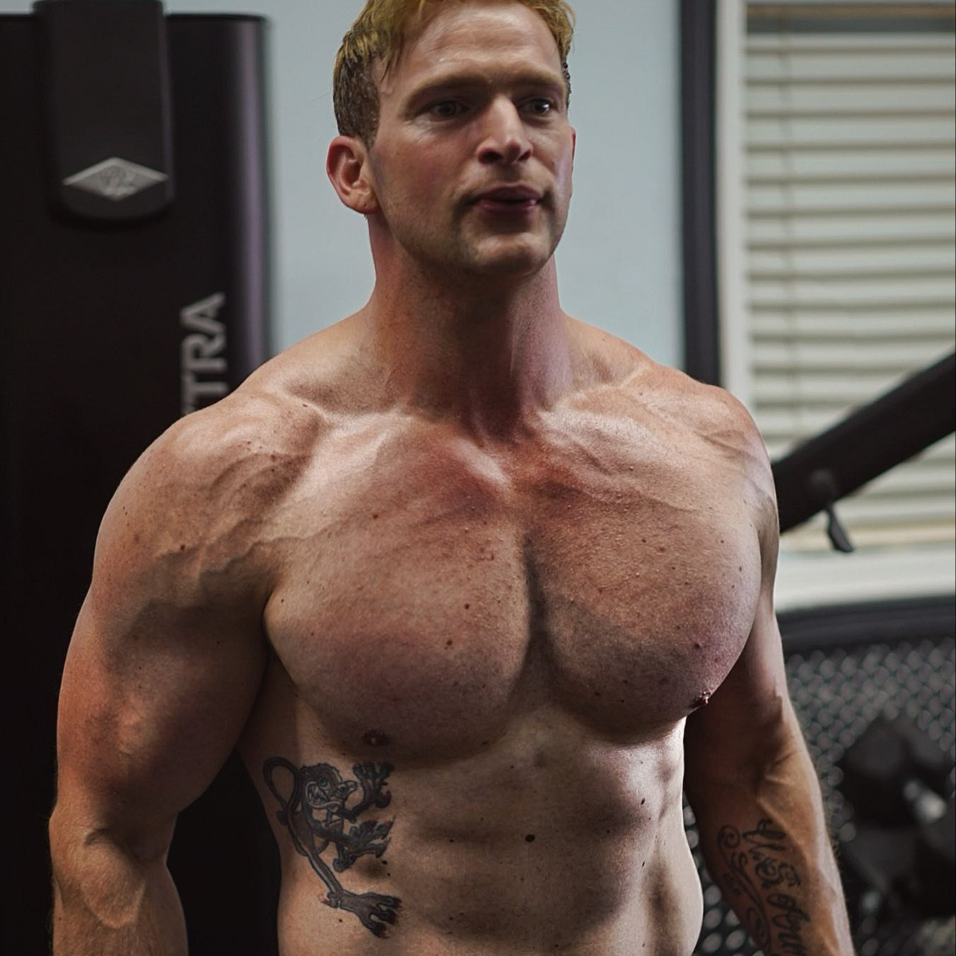 Callen David | Linktree