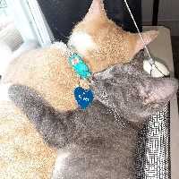 House Of Tiny Toe Beans | Facebook | Linktree