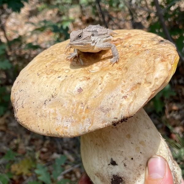 Ecological Projects | Instagram | Linktree