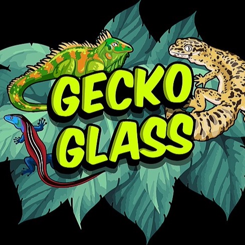Gecko Glass | Instagram | Linktree