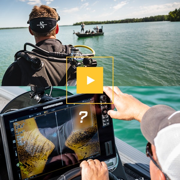 Humminbird Fishing | Linktree