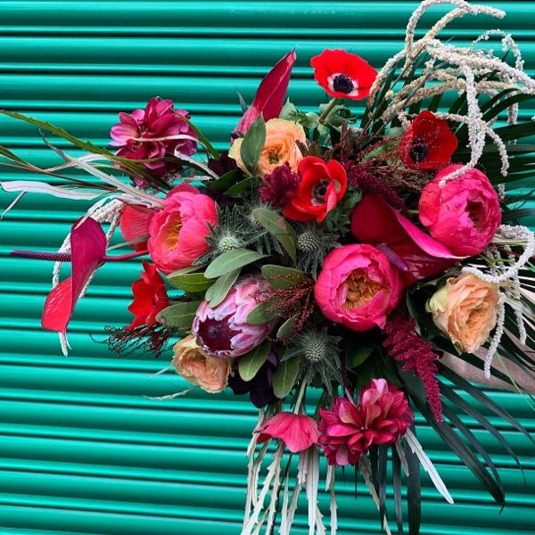 Edie Rose | Linktree