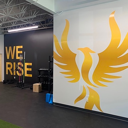 Phoenix Training | Linktree