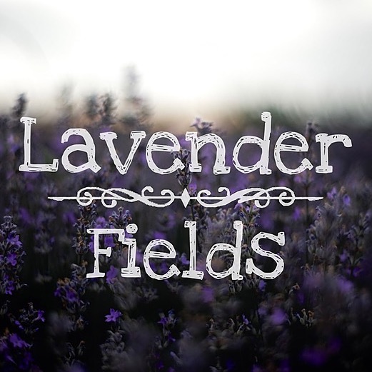 Jack Rideout | Instagram, Facebook | Linktree